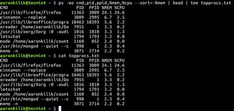 Cara Menjalankan Perintah Dari Input Standar Menggunakan Tee Dan Xargs