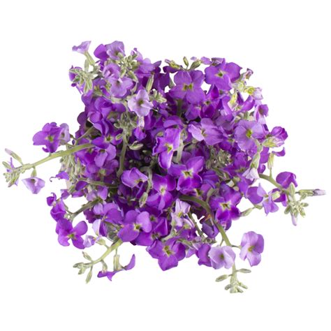 Save On Diy Stock Colors May Vary Order Online Delivery Stop And Shop