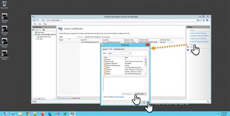 Creating A Self Signed Certificate Windows Iis Lianjapedia