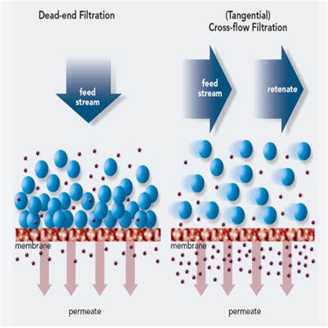 Filtration Definition And Processes In Chemistry Zd Filtration