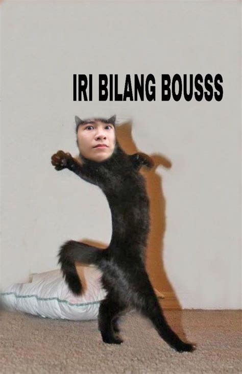 20 Meme Monyet Putih