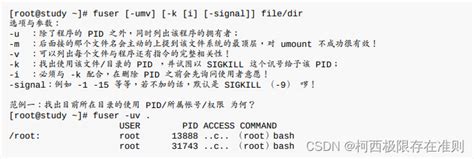 164 【linux】特殊文件与程序 Csdn博客