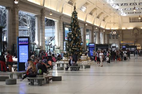 Buenos Aires Vestida De Navidad Los árboles Que Hacen Brillar La