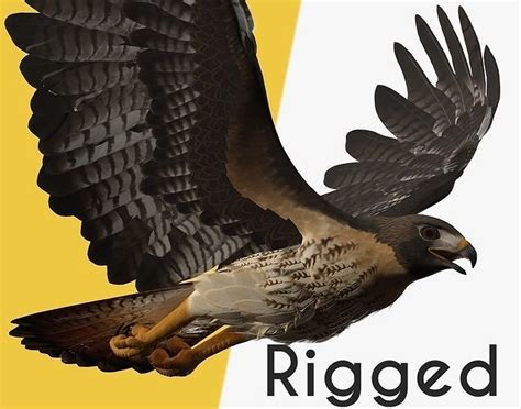 3D Model Stunning 3D Model Of A Majestic Falcon Wildlife Enthusiasts VR