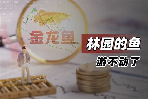 林园的鱼游不动了 凤凰网视频凤凰网