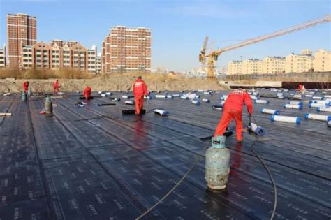 Sbs App Sheet Modified Bituminous Asphalt Bitumen Waterproofing Roofing