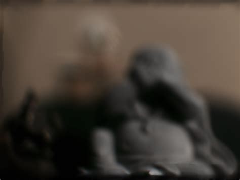 A Reconfigurable Camera Add On For High Dynamic Range Multispectral Polarization And Light