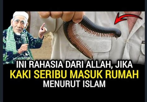 HARUS WASPADA 10 PERTANDA JIKA KAKI SERIBU MASUK RUMAH ANDA MENURUT ISLAM