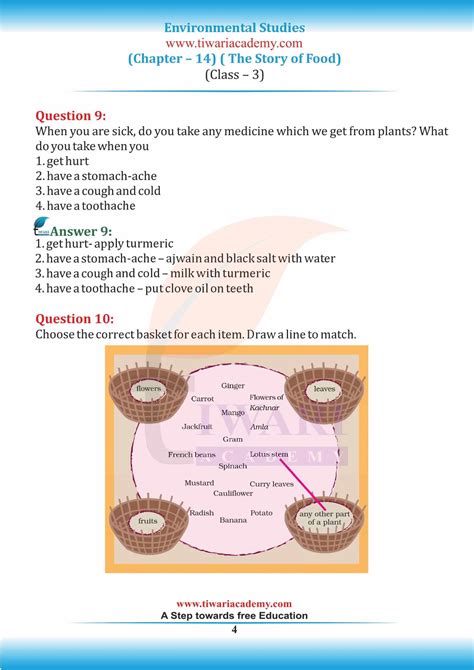 Ncert Solutions For Class 3 Evs Chapter 14 In Hindi And English Medium