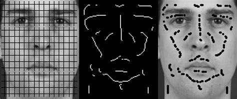 Left Original Rectangular Dense Grid Center Sketch Right Grid Download Scientific Diagram