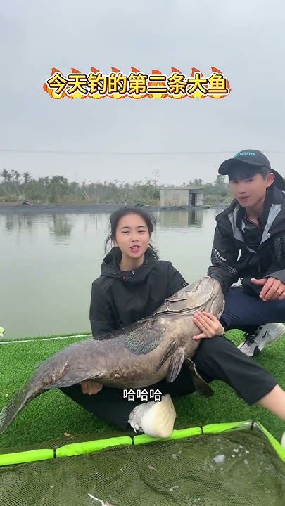 钓大鱼 兄弟们 今天我是鱼王抱 第二条大鱼，又来了 离冠军又近一步 冲啊抱抱🐿¹¹²⁵ 九红🔥 保持热爱奔赴山海 海南 钓鱼 钓鱼人就是