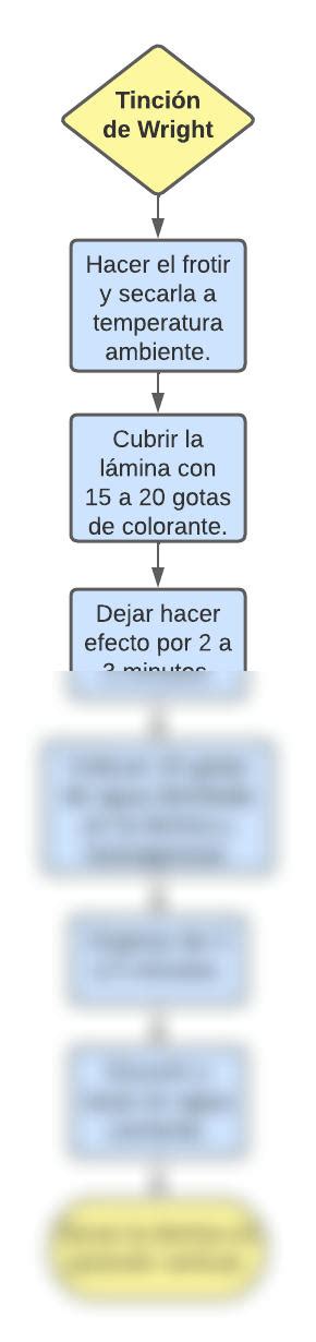 Solution Diagrama De Tinci N De Wright Studypool