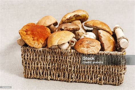직물 배경에 바구니에 다양한 숲 버섯 테이블에 신선한 원시 곰팡이 스카버 줄기 오렌지 캡 볼레투스 샴피뇽 건강한 식단 채식주의
