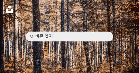 비콘 에지 사진 Unsplash에서 무료 이미지 다운로드