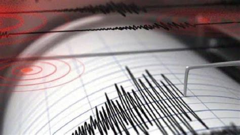 Gempa M52 Guncang Ransiki Papua Barat Bmkg Berpusat Di Laut News