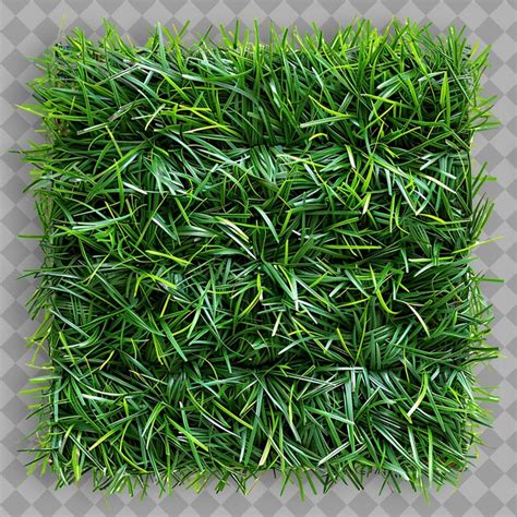 Zoysia Empire With Vibrant Yellow And Green Mosaic Tiles And Png Green