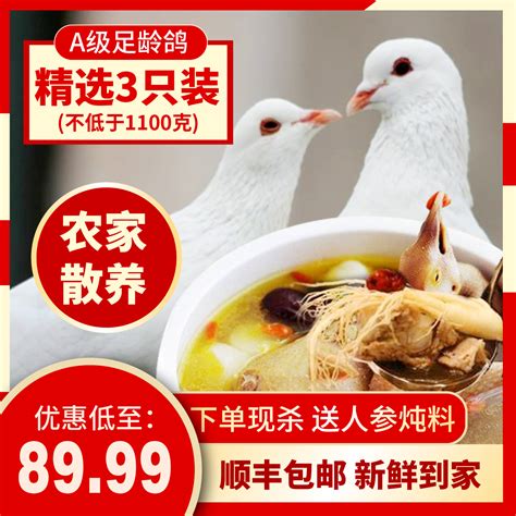 新鲜土鸽子农家散养土鸽子活体现杀鸽子肉生鲜顺丰包邮 虎窝淘