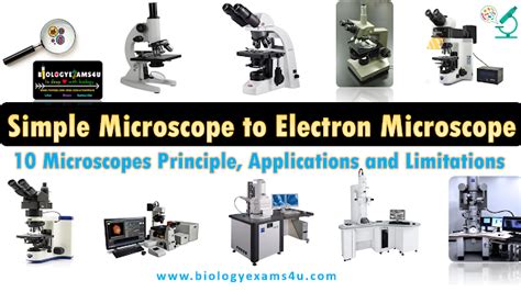 10 Types Of Microscopes Used In Biological Science