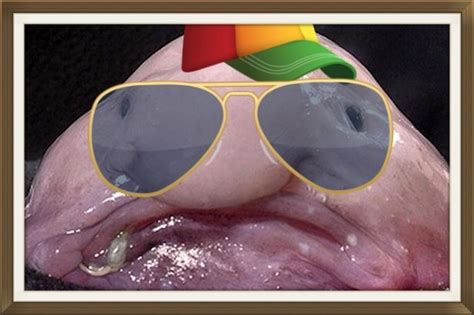An Animal With Sunglasses And A Hat On Its Head