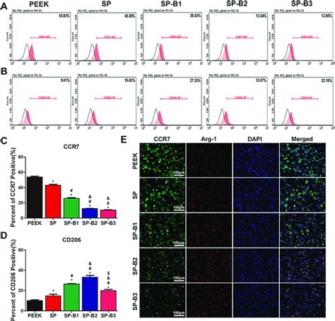 In Vitro Macrophage Polarization A Representative Histograms Of