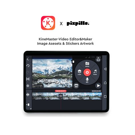 Portfolio Kinemaster