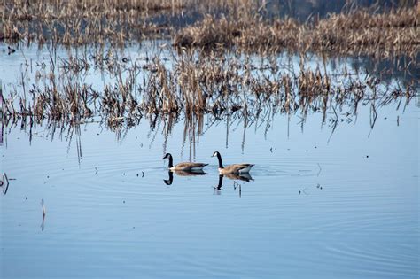 Groupby And Aggregate Using Pandas