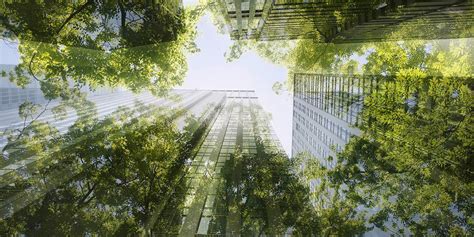 Whither The Esg Revolution By Michael Spence Project Syndicate