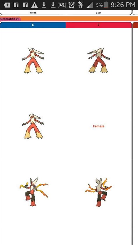 Male And Female Blaziken