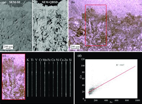 A Cross Sectional Micrographs Of The Outer Surface And Endolithic Download Scientific Diagram