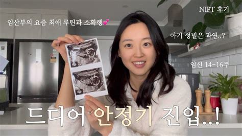 나야 뉴질랜드 초등교사 브이로그 근데 이제 임신 중기 임산부 일상을 곁들인 니프티 검사 후기 And 셀프 젠더리빌
