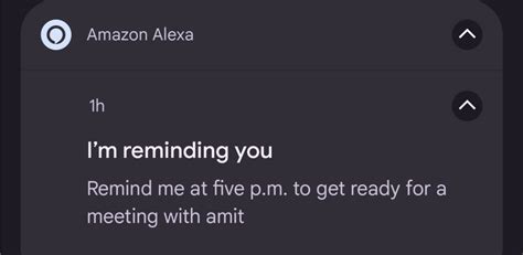 Alexa Needs Better Language Processing Ralexa