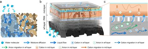 Multistage Coupling Water Enabled Electric Generator With Customizable