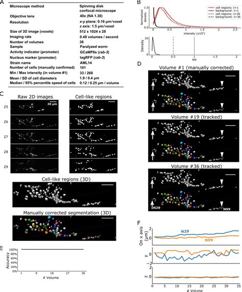 Figures And Data In 3deecelltracker A Deep Learning Based Pipeline For Segmenting And Tracking