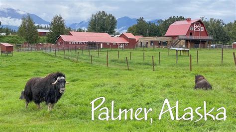 Palmer Alaska Youtube