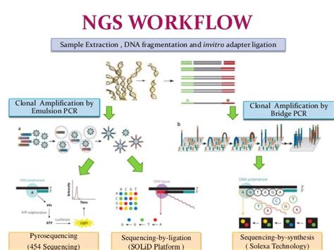 next generation sequencing diagram ngs sequencing forensic g