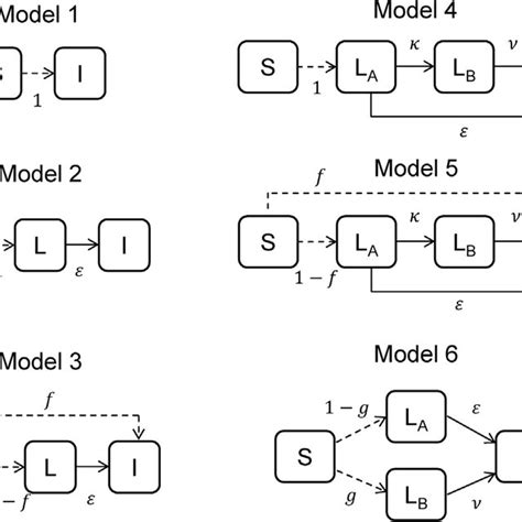 Representation Of The Different Model Structures Solid Lines Represent