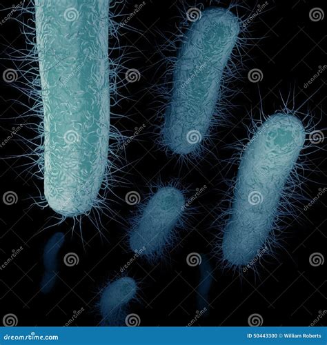 Carbapenem Resistant Enterobacteriaceae CRE Swimming Stock