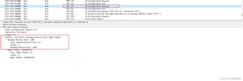ppp链路的lcp（链路控制协议）建链过程 lcp程序 csdn博客
