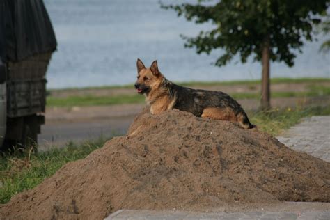 Казань - Фотографии русских городов