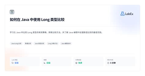如何在 Java 中使用 Long 类型比较 Labex