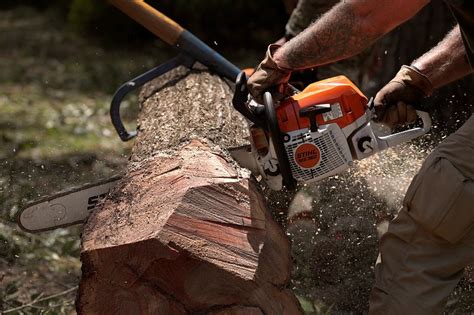 Chainsaw Logging Images Free Photos Png Stickers Wallpapers