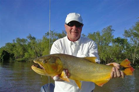 Dónde Ir A Pescar Este Fin De Semana ~ Pesca ~