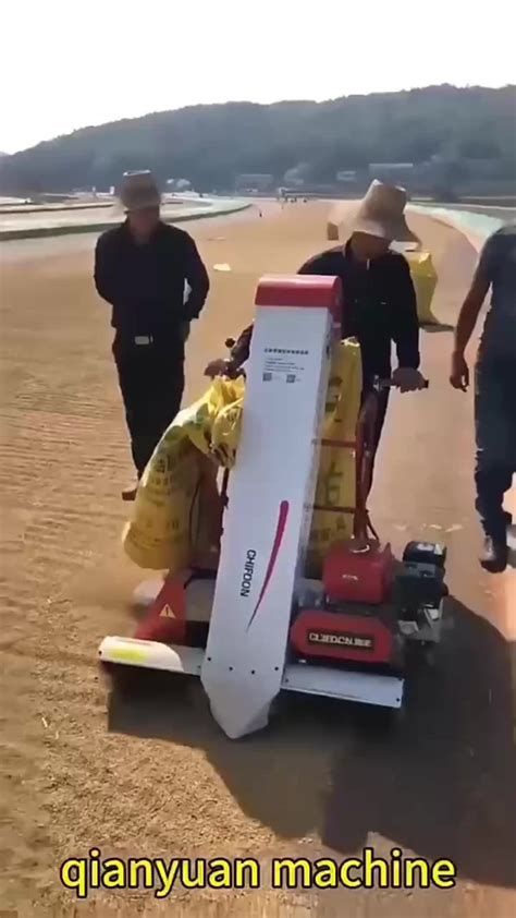 Taiho S Precision Intelligent Nir Sorting Machine Rice And Pine Nut Color Sorter Buy Substrate