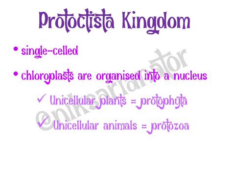 Pptx Igcse Biology Classification Of Organism Dokumentips