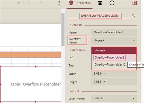 Overflow Placeholder Wyn Documentation