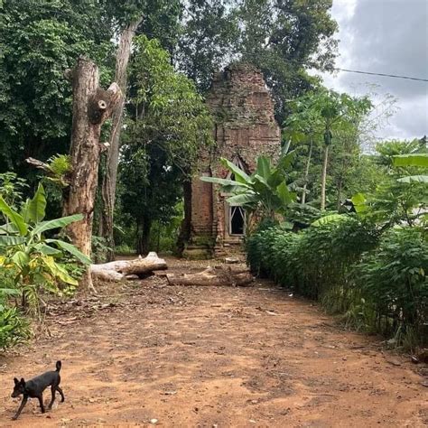 អាជ្ញាធរជាតិអប្សរាថែទាំប្រាសាទឥដ្ឋជុំវិញប្រាសាទ បាគងឱ្យមានសោភ័ណភាព ក្រសួងព័ត៌មាន