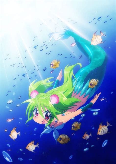 Namiuchigiwa No Muromi San Wiki Anime Amino