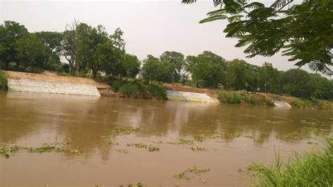 Seepage From Canals Leaves 11 Villages Waterlogged The Tribune