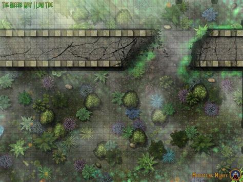 The Queens Way Fey Swamp Map [40x30] Dndmaps