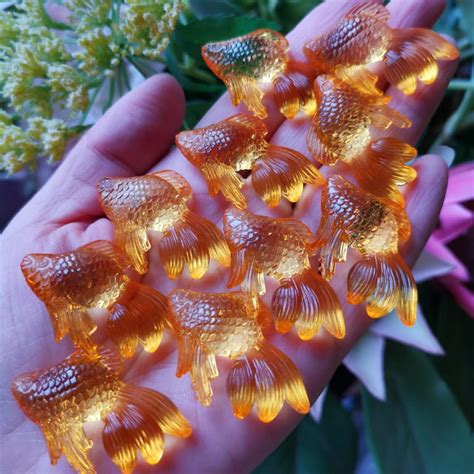 금붕어 인형 집 미니어처 귀여운 요정 정원 그놈 이끼 테라리움 장식 공예 분재 Diy 용품 무료 배송 10 개 Aliexpress